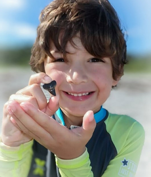 Shark Conservation through Jewelry & Apparel - Shark Generation